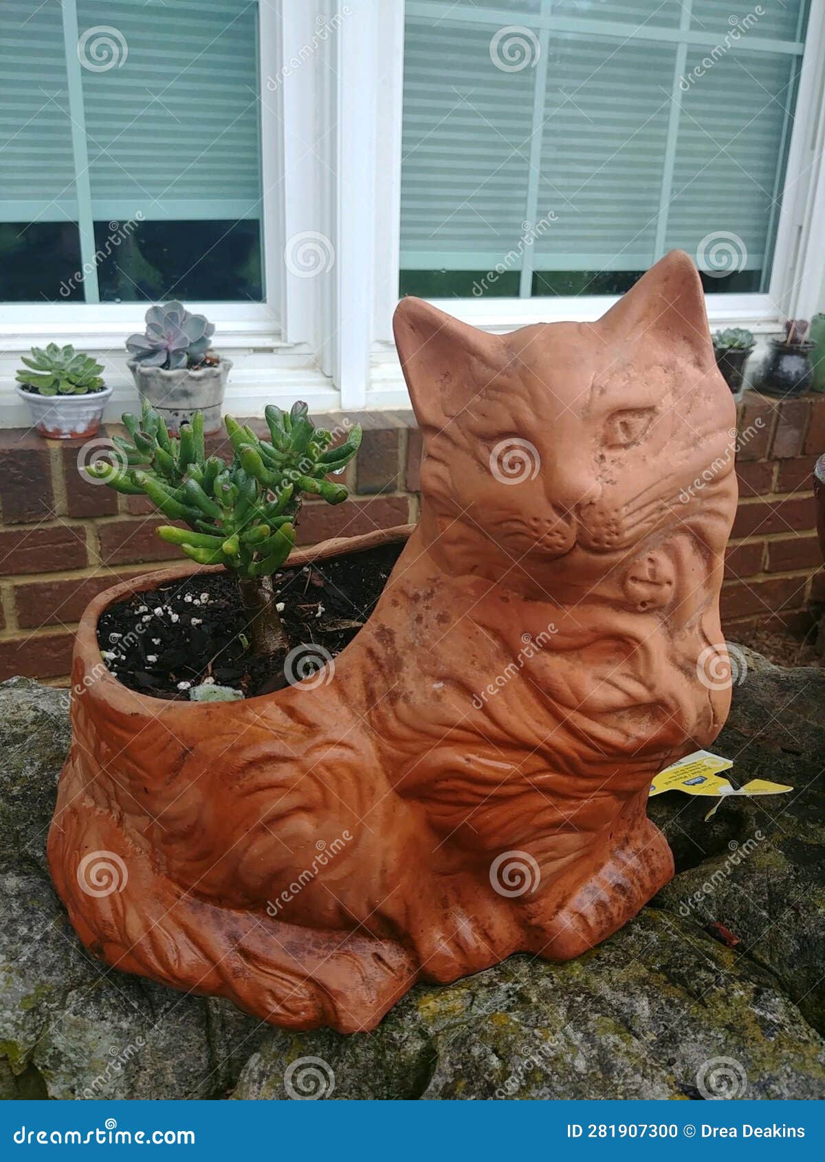 Succulent Garden Cat Clay Pot Stock Photo - Image of garden, succulent ...