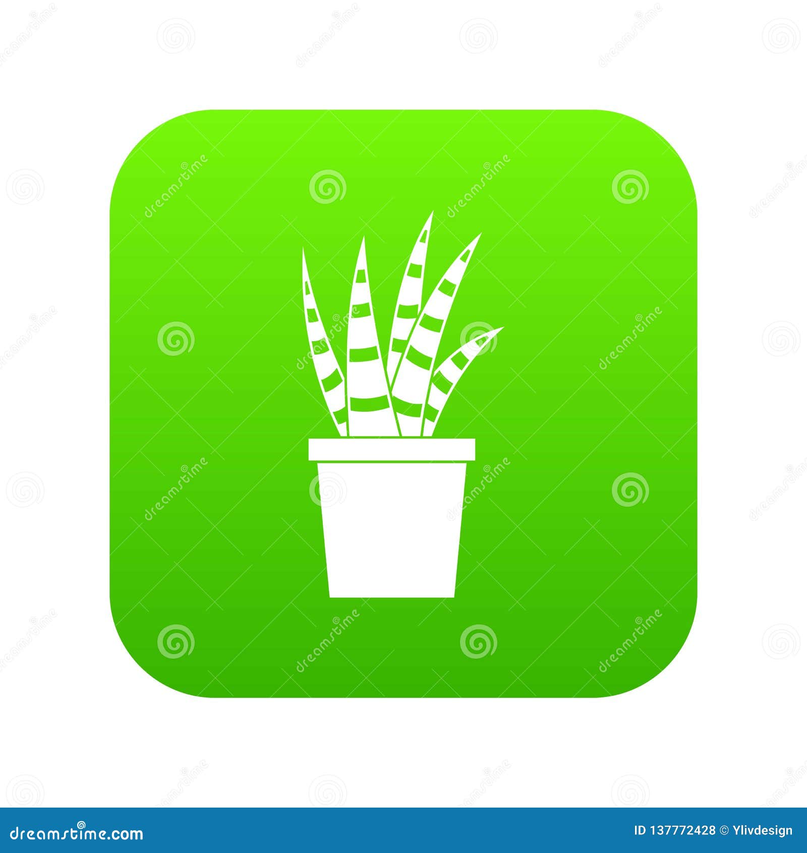 Succulent Icon Digital Green Stock Vector - Illustration of decorative ...
