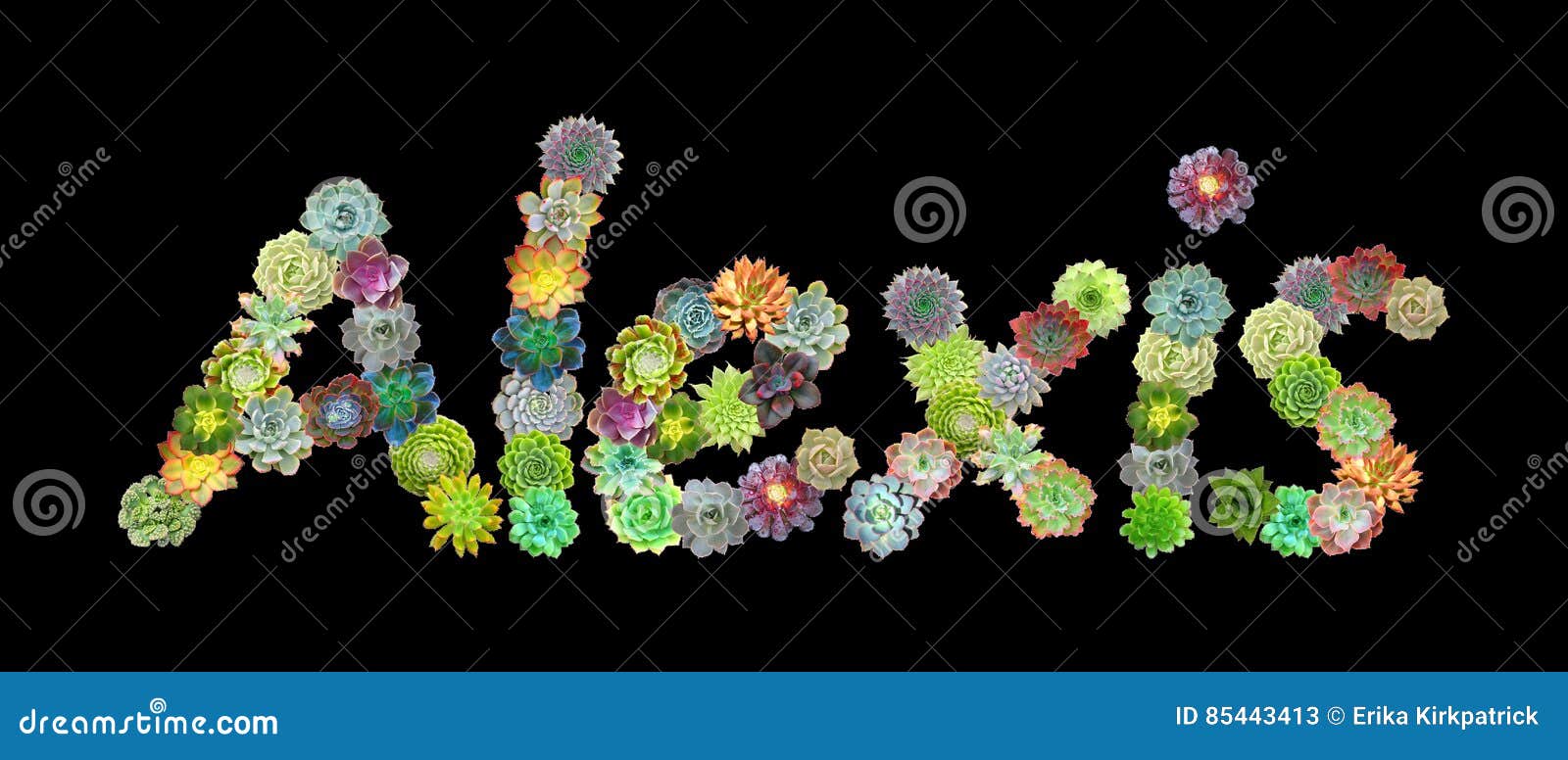 Alexis The Name Cool Design