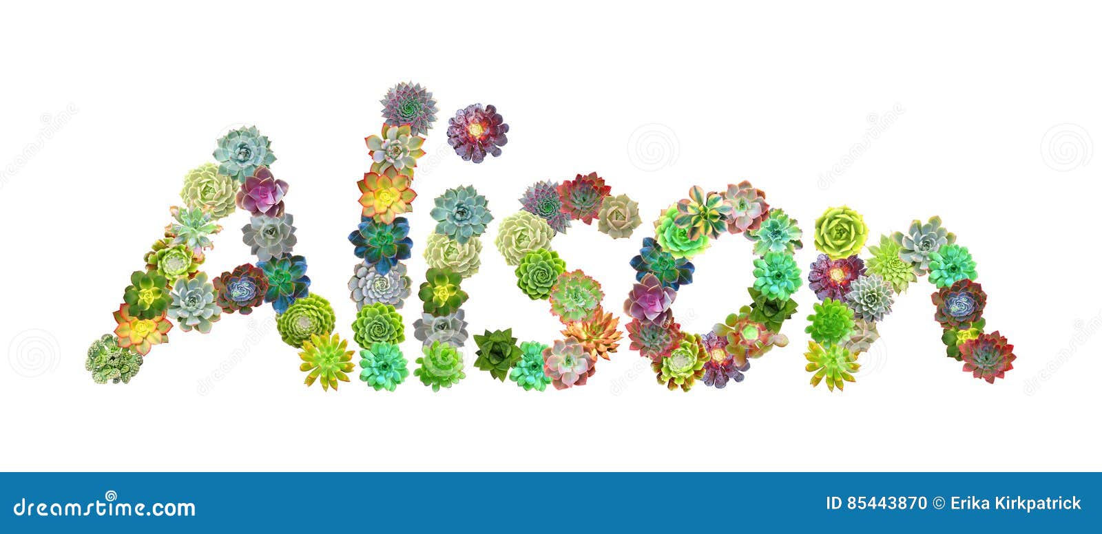 Alison Cartoons, Illustrations & Vector Stock Images - 114 Pictures to ...