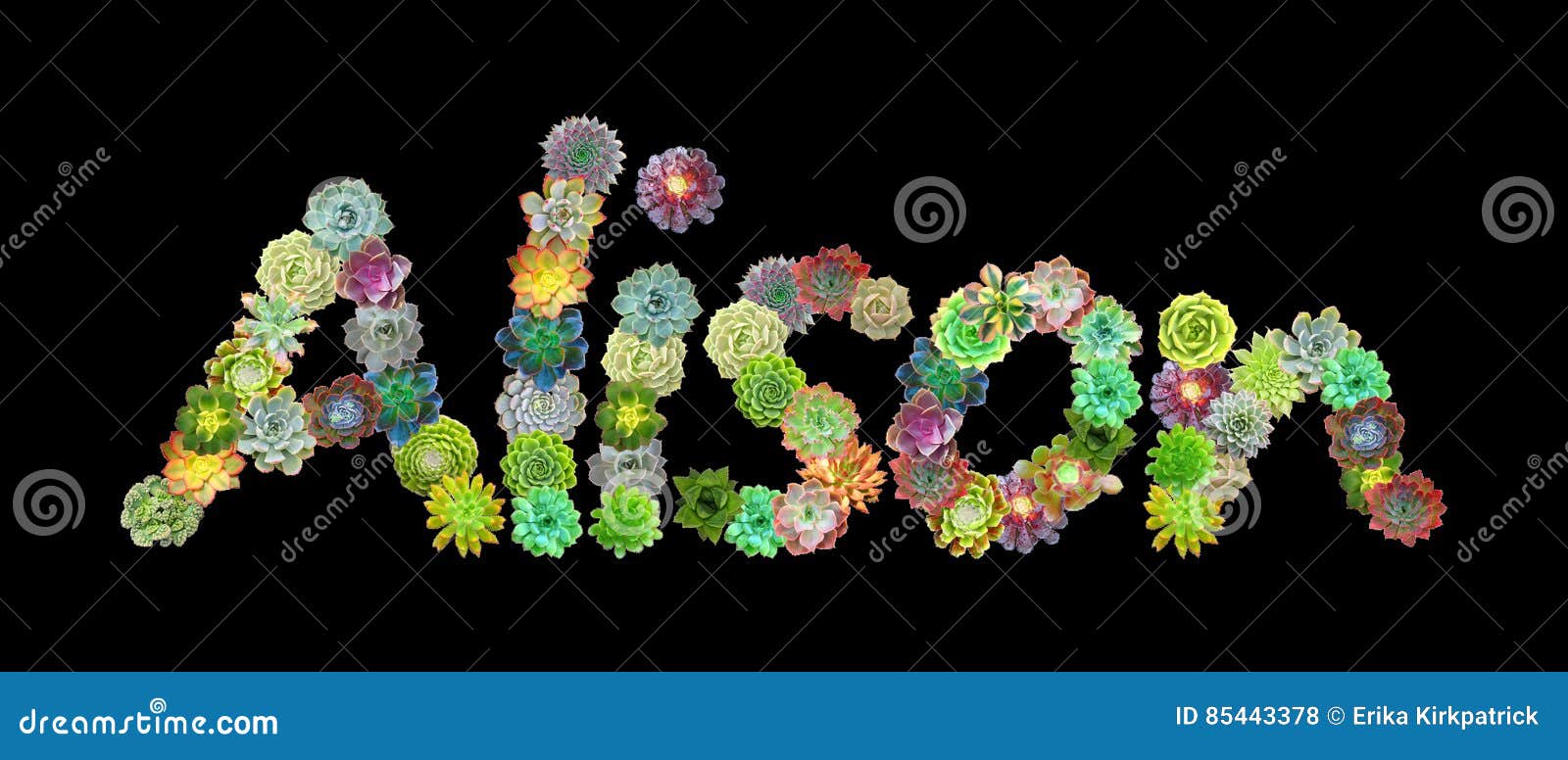 Alison Cartoons, Illustrations & Vector Stock Images - 114 Pictures to ...