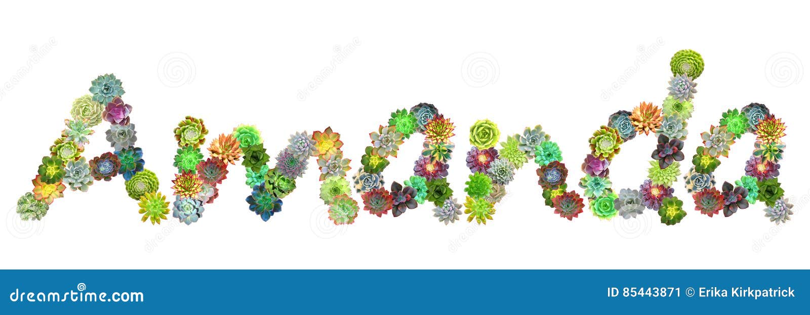 Amanda Name Lettering Tinsels Vector Illustration | CartoonDealer.com ...