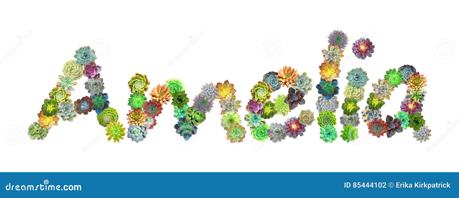 Name Amelia In Various Retro Graphic Design Elements, Set Of Vector ...