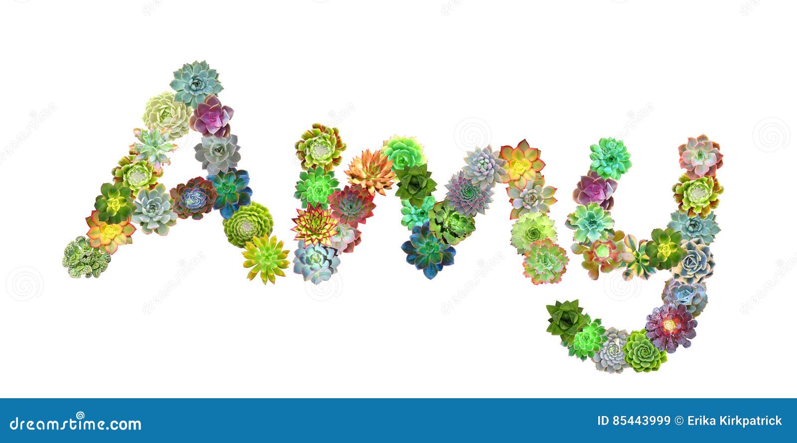 Succulent Name Amy stock illustration. Illustration of customizeable ...