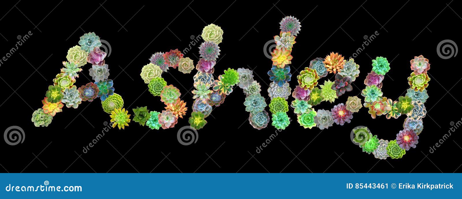 Ashley Name Design Wallpaper