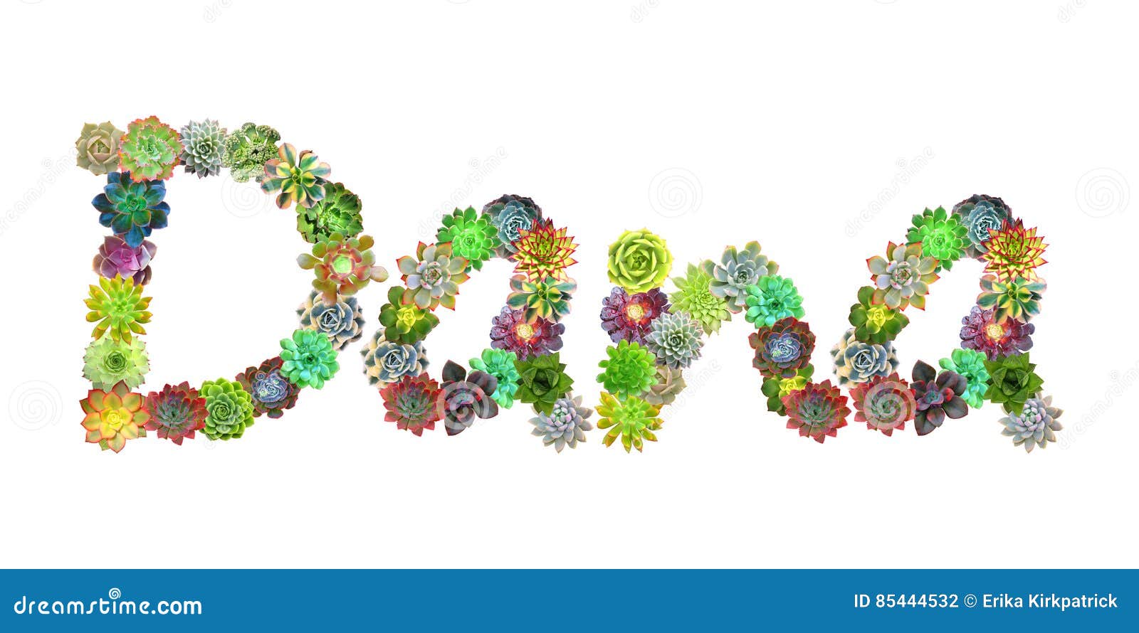 Dana Name Arabic Calligraphy Logo. Translation: `Dana` Vector ...