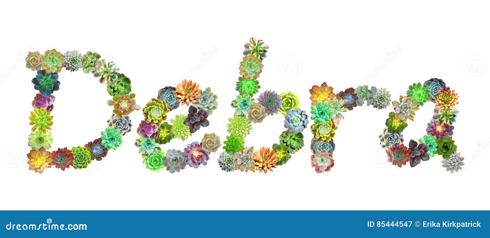 Succulent Name Debra stock illustration. Illustration of customizeable ...
