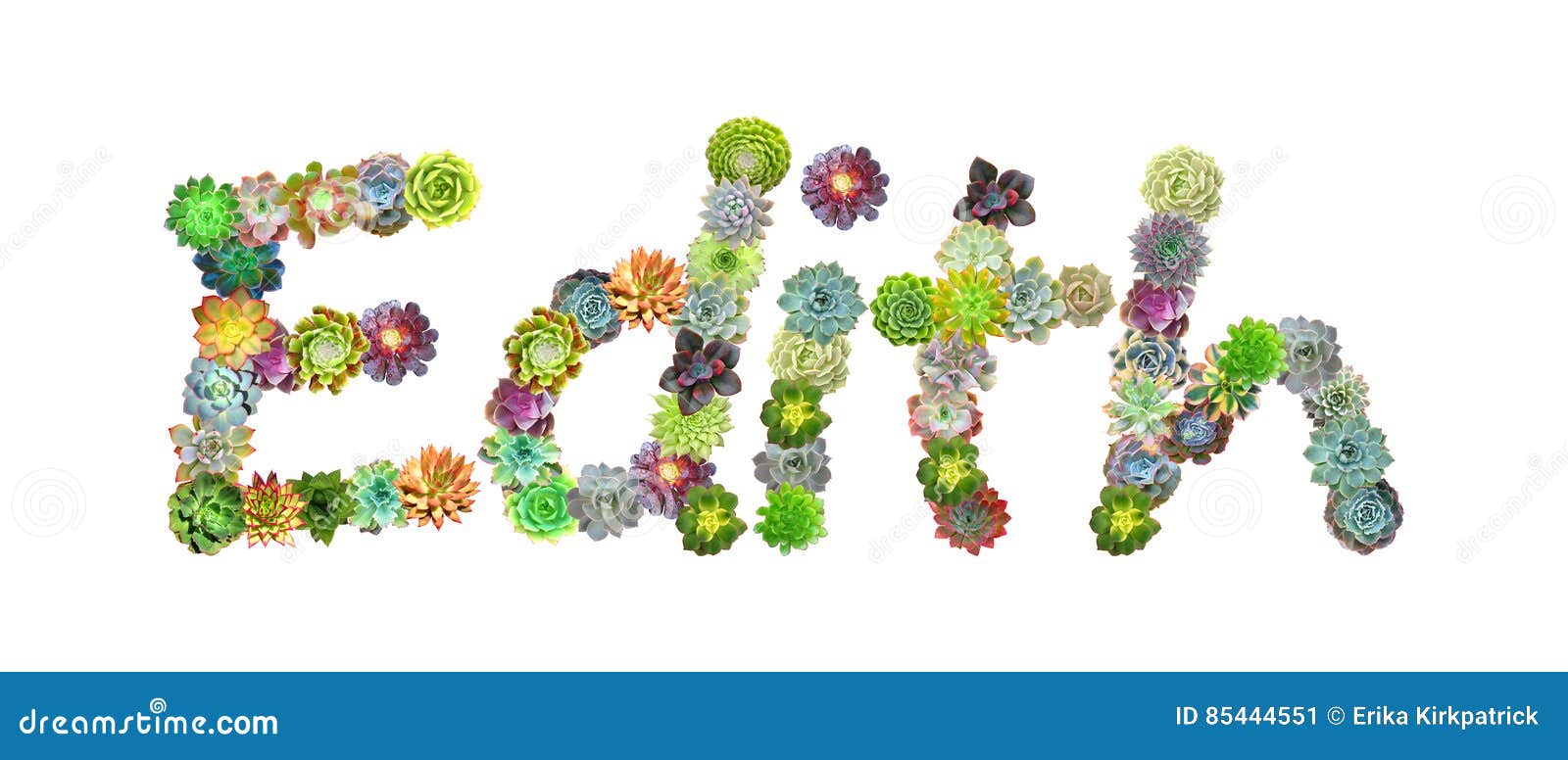 Succulent Name Edith stock illustration. Illustration of blossom - 85444551