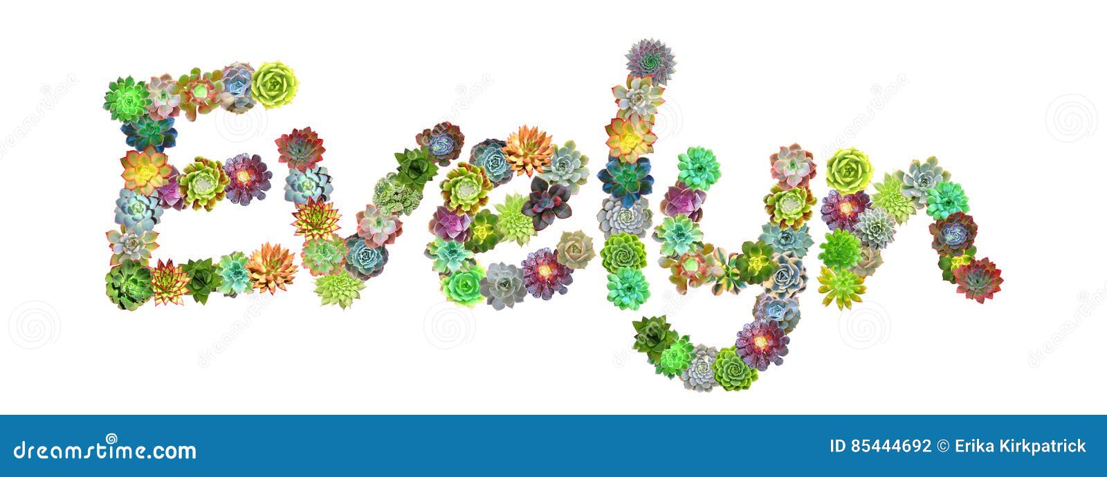 Name Evelyn In Various Retro Graphic Design Elements, Set Of Vector ...