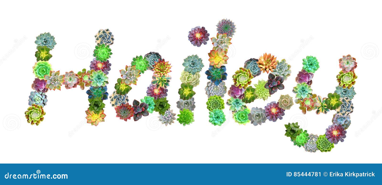 Hailey Name Lettering Tinsels Cartoon Vector | CartoonDealer.com #82591791