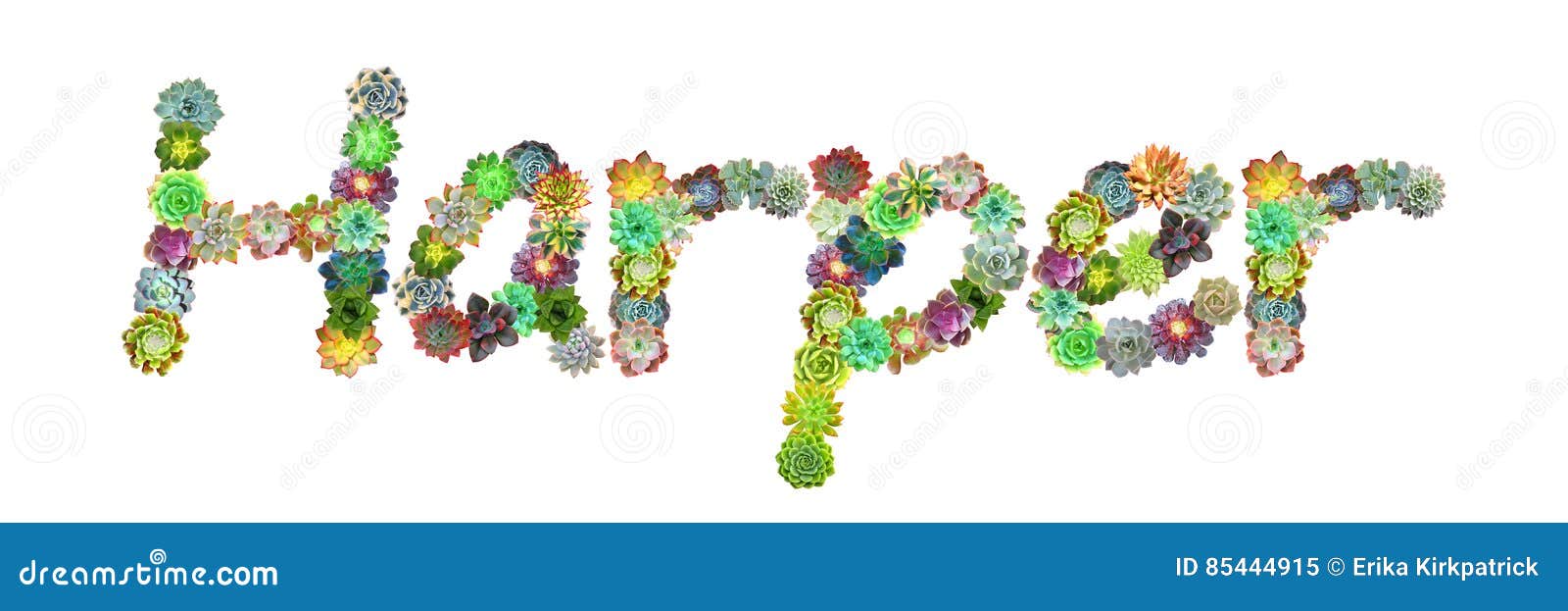 Name Harper In Various Retro Graphic Design Elements, Set Of Vector ...