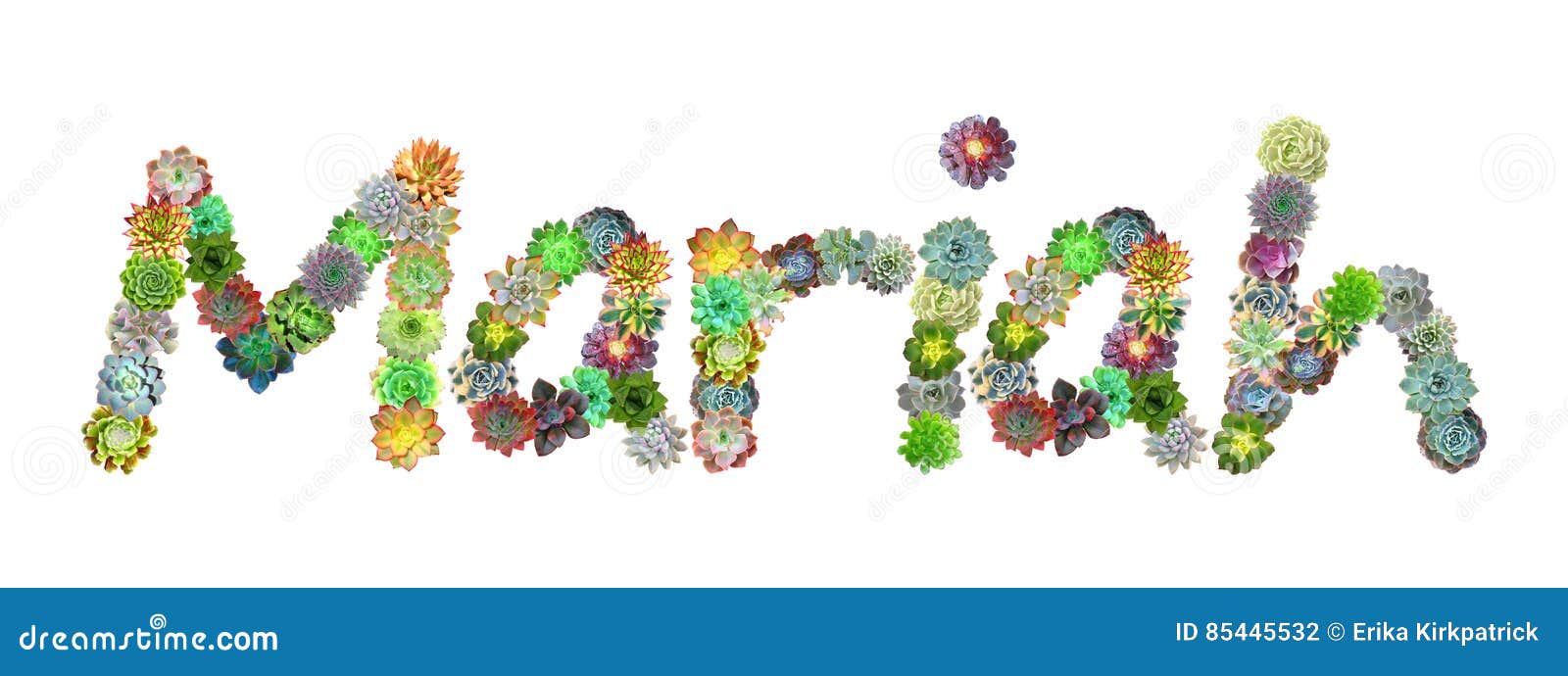 Mariah Cartoons, Illustrations & Vector Stock Images - 27 Pictures to ...