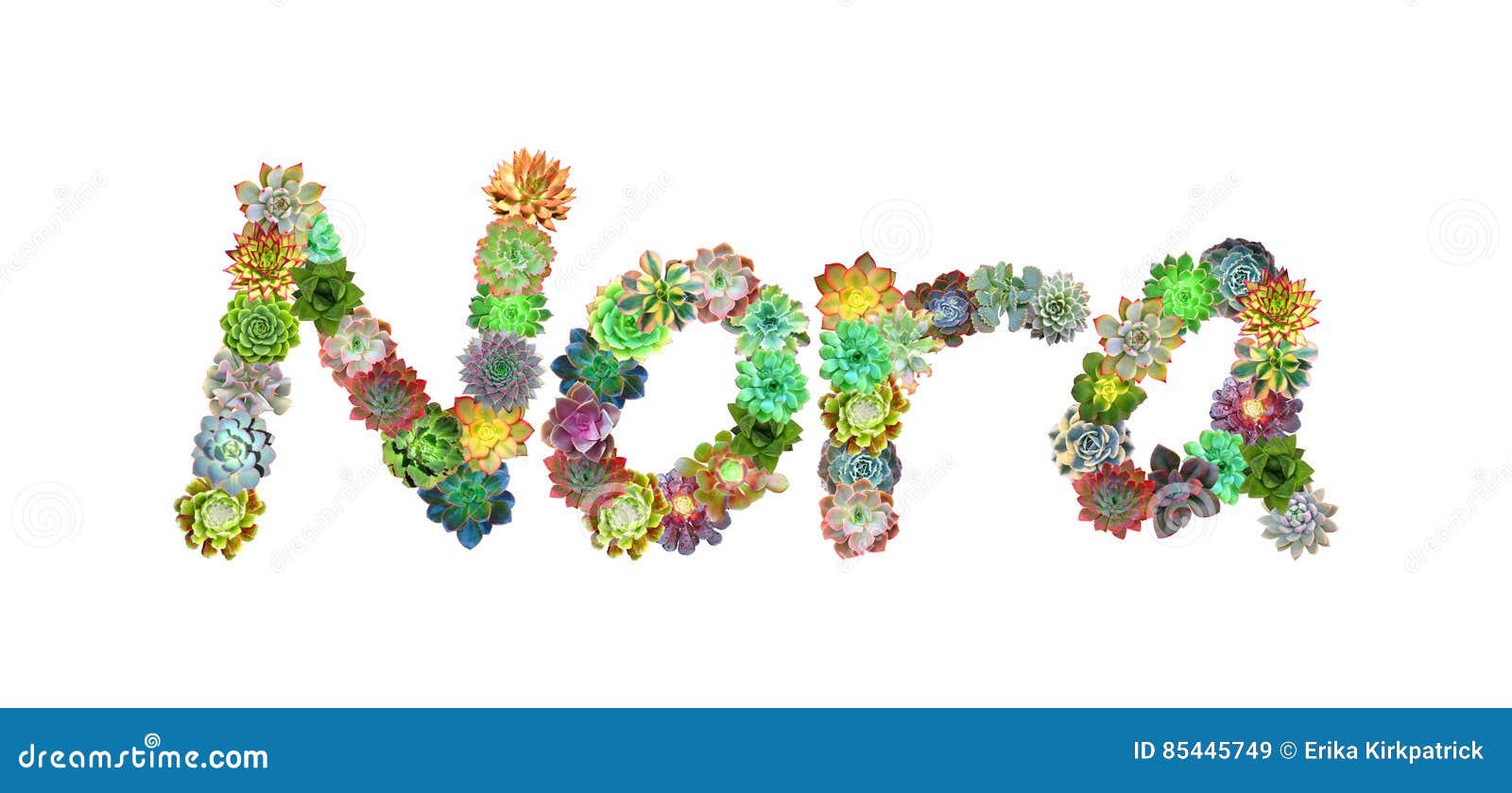 Name Nora In Various Retro Graphic Design Elements, Set Of Vector Retro ...