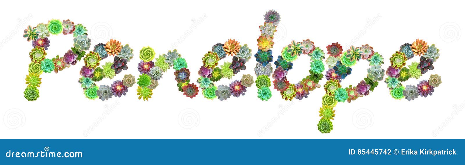 Name Penelope In Various Retro Graphic Design Elements, Set Of Vector ...