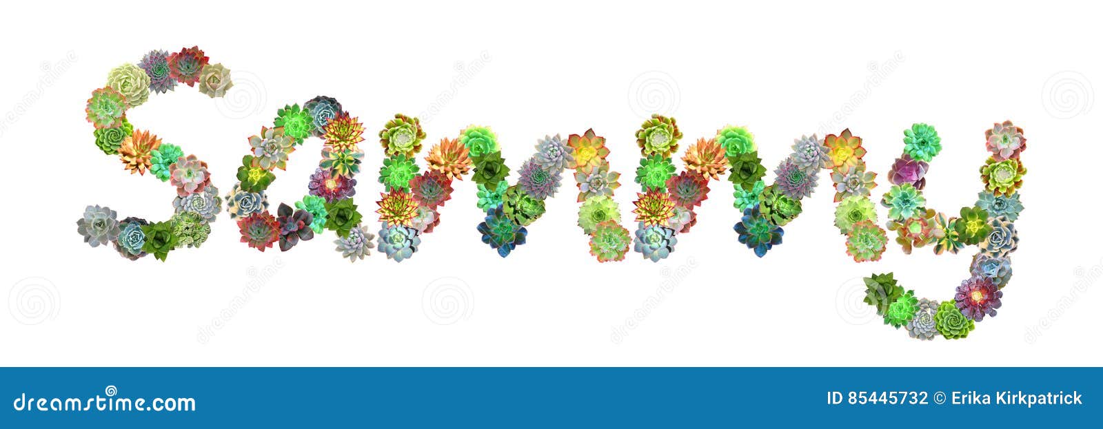 Sammy Name Wallpaper