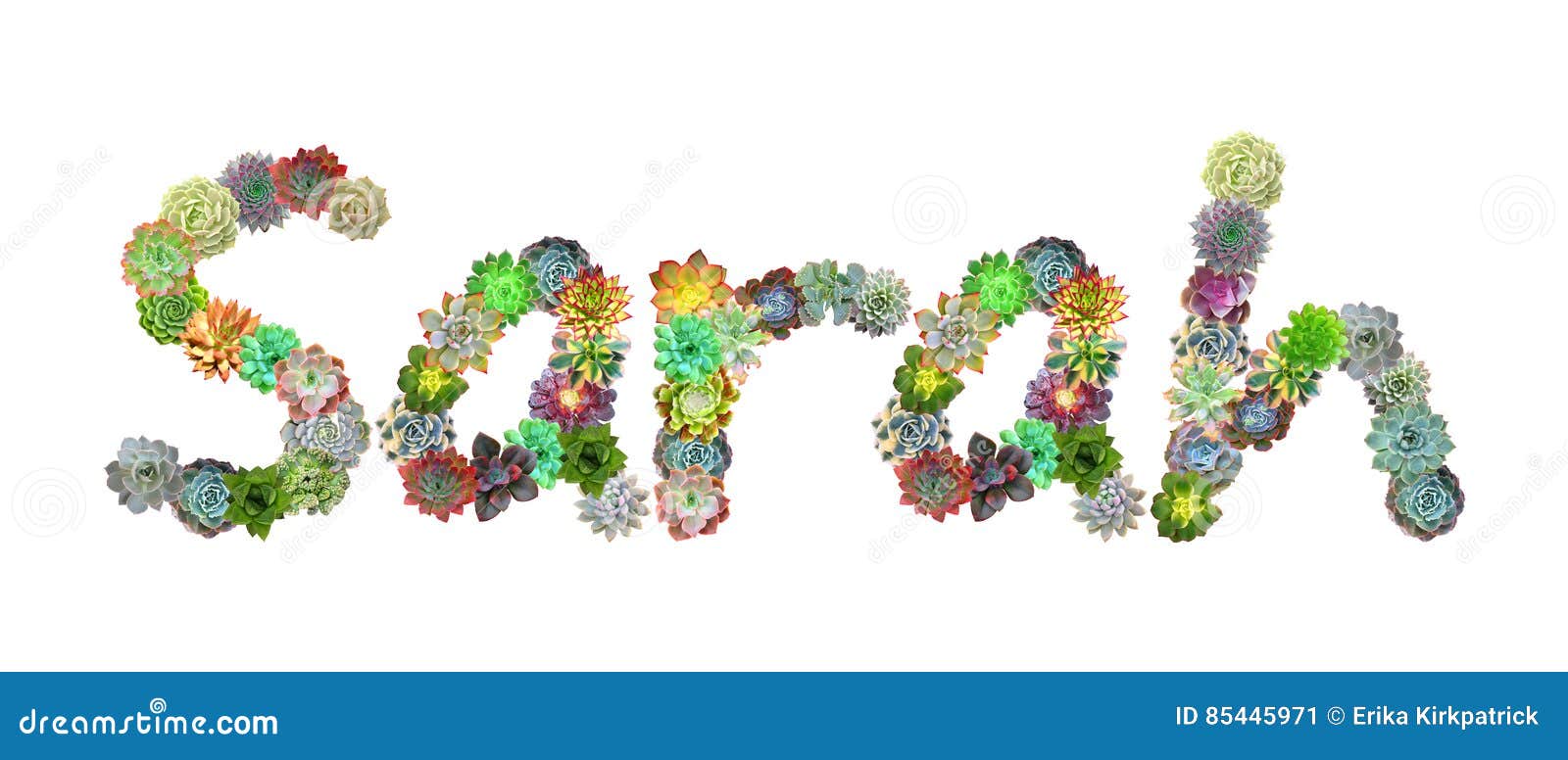 Name Sarah, Made In The Vector | CartoonDealer.com #168977250