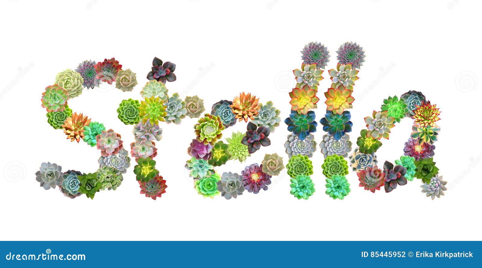 Stella Name Lettering Tinsels Vector Illustration | CartoonDealer.com ...