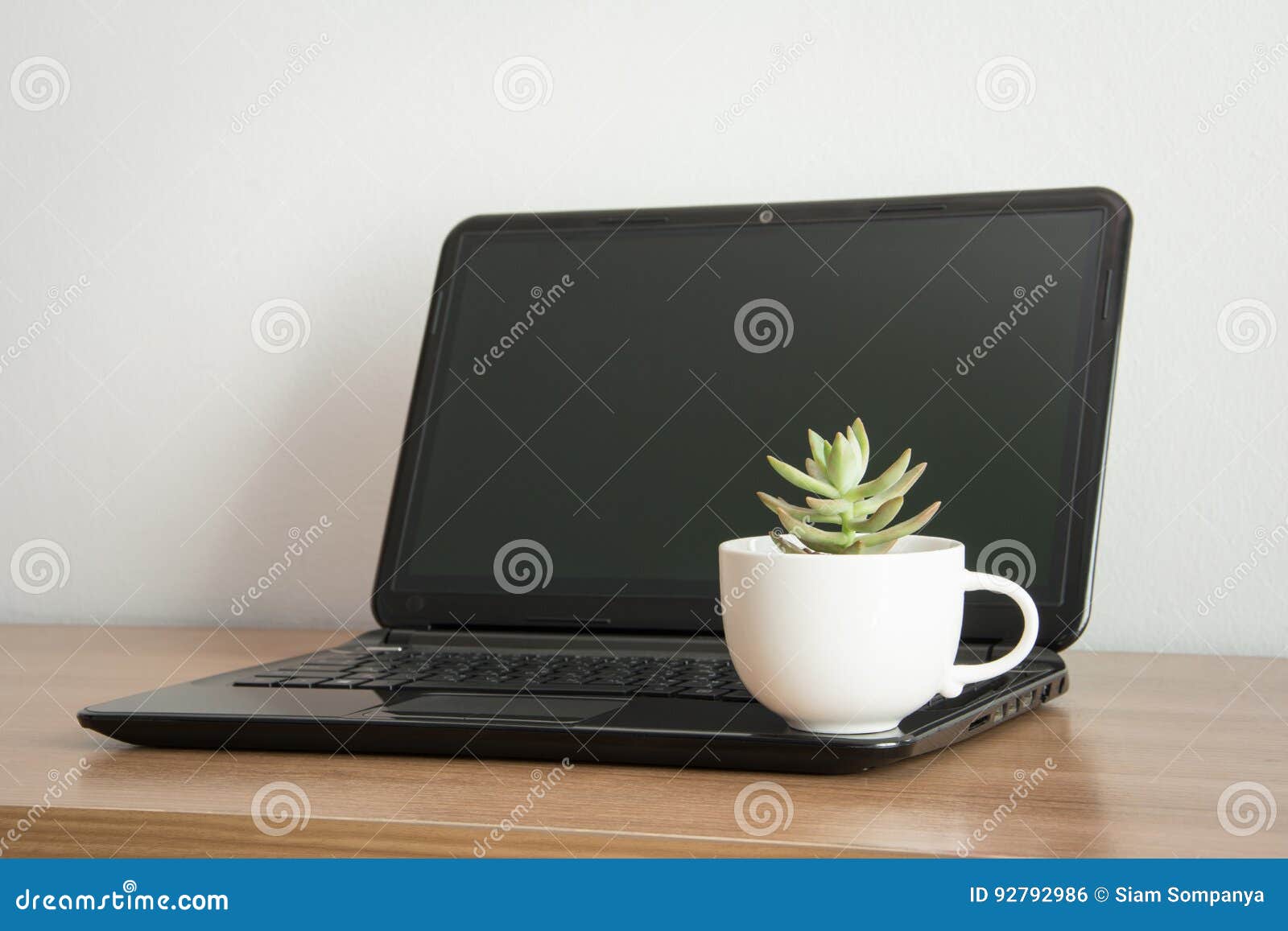 Succulent Plant in Pot on Computer Stock Photo - Image of natural ...