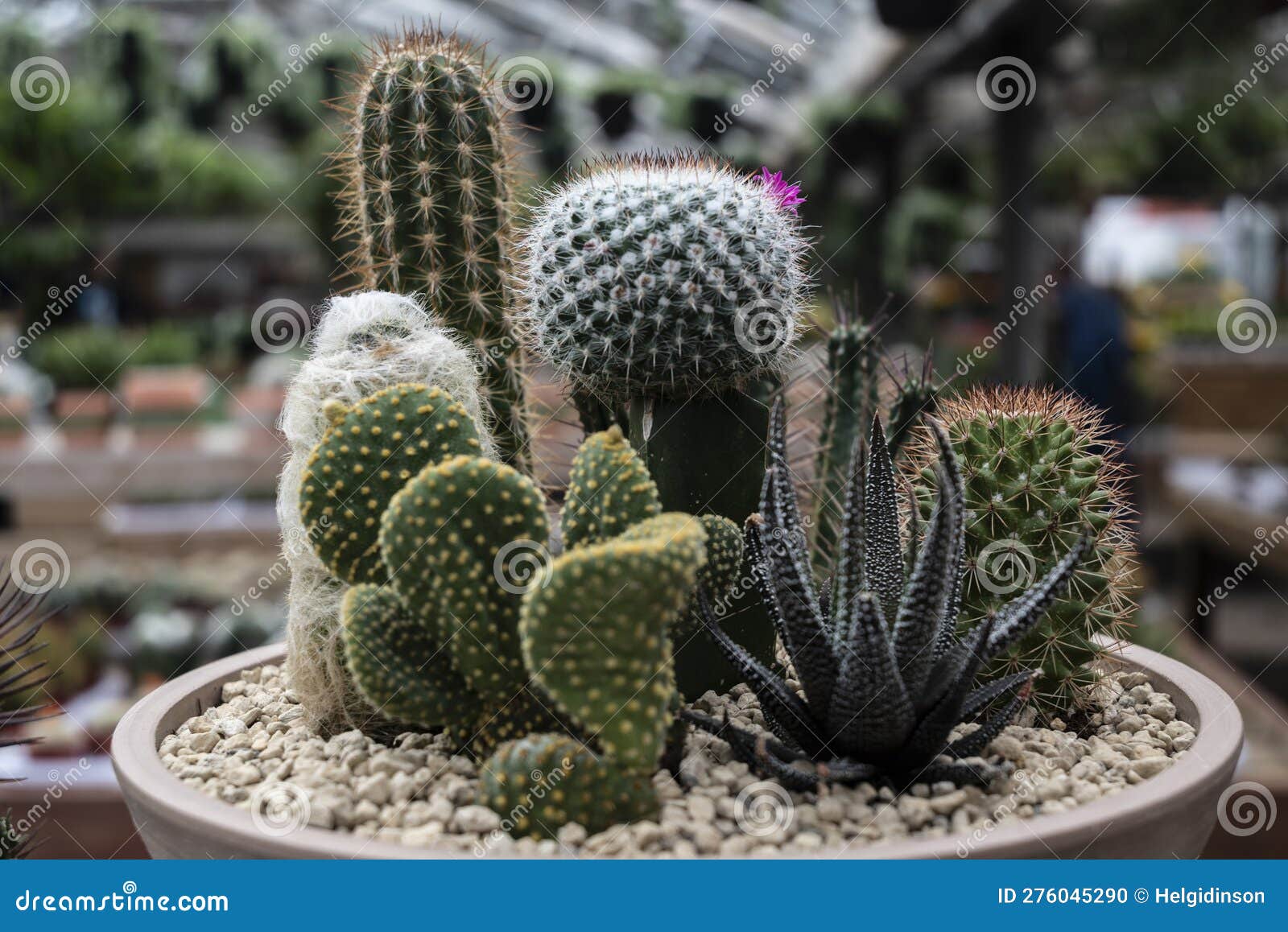 Coloered Peebles Stock Photos - Free & Royalty-Free Stock Photos from ...