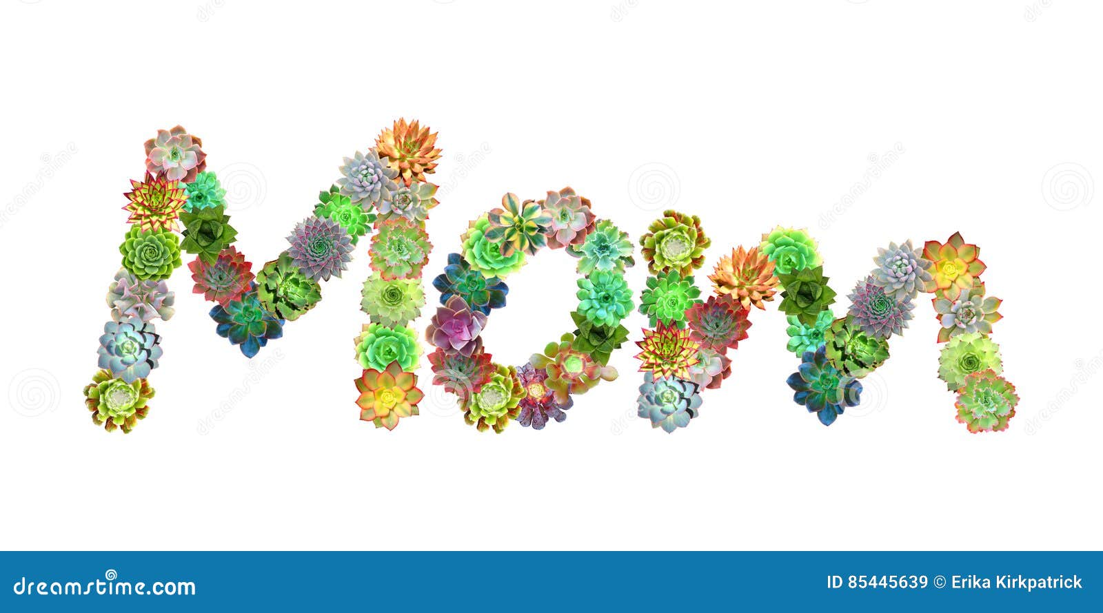 Succulent Word Mom stock illustration. Illustration of floral - 85445639