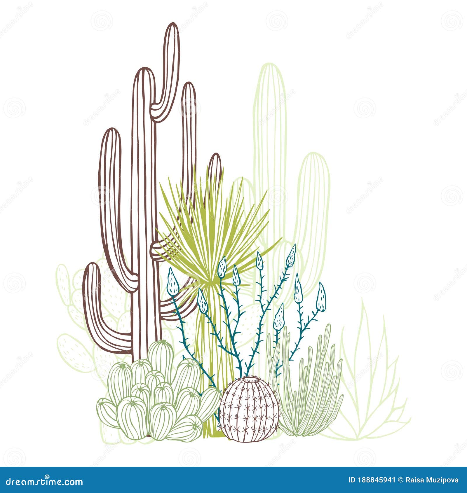 Desert Plants. Vector Sketch Illustration | CartoonDealer.com #188845941