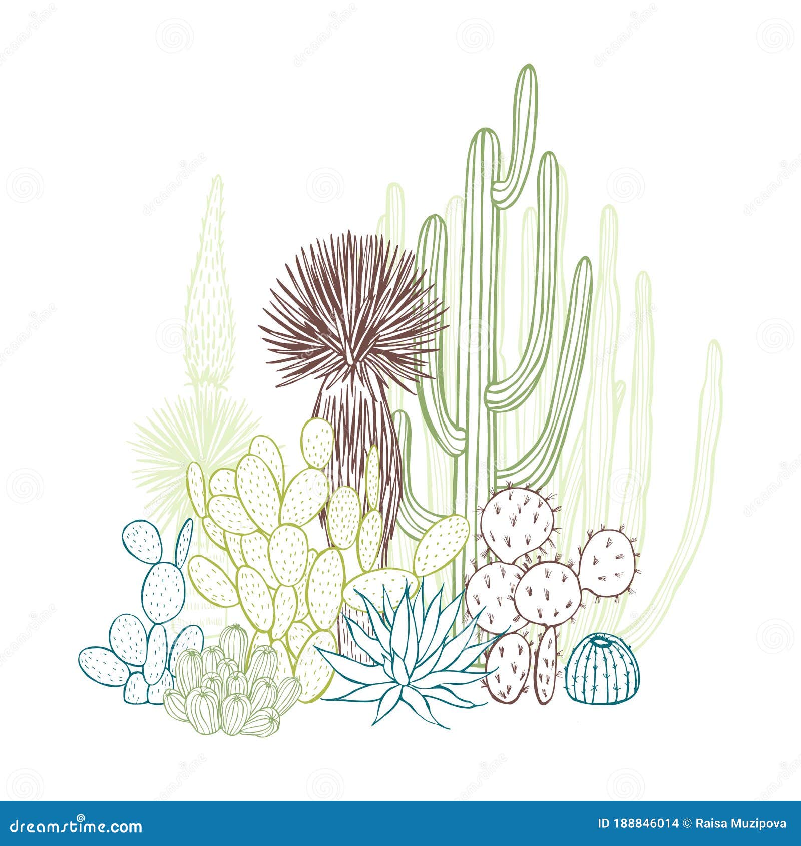 Desert Plants, Cacti In A Circle. Vector Sketch Illustration ...