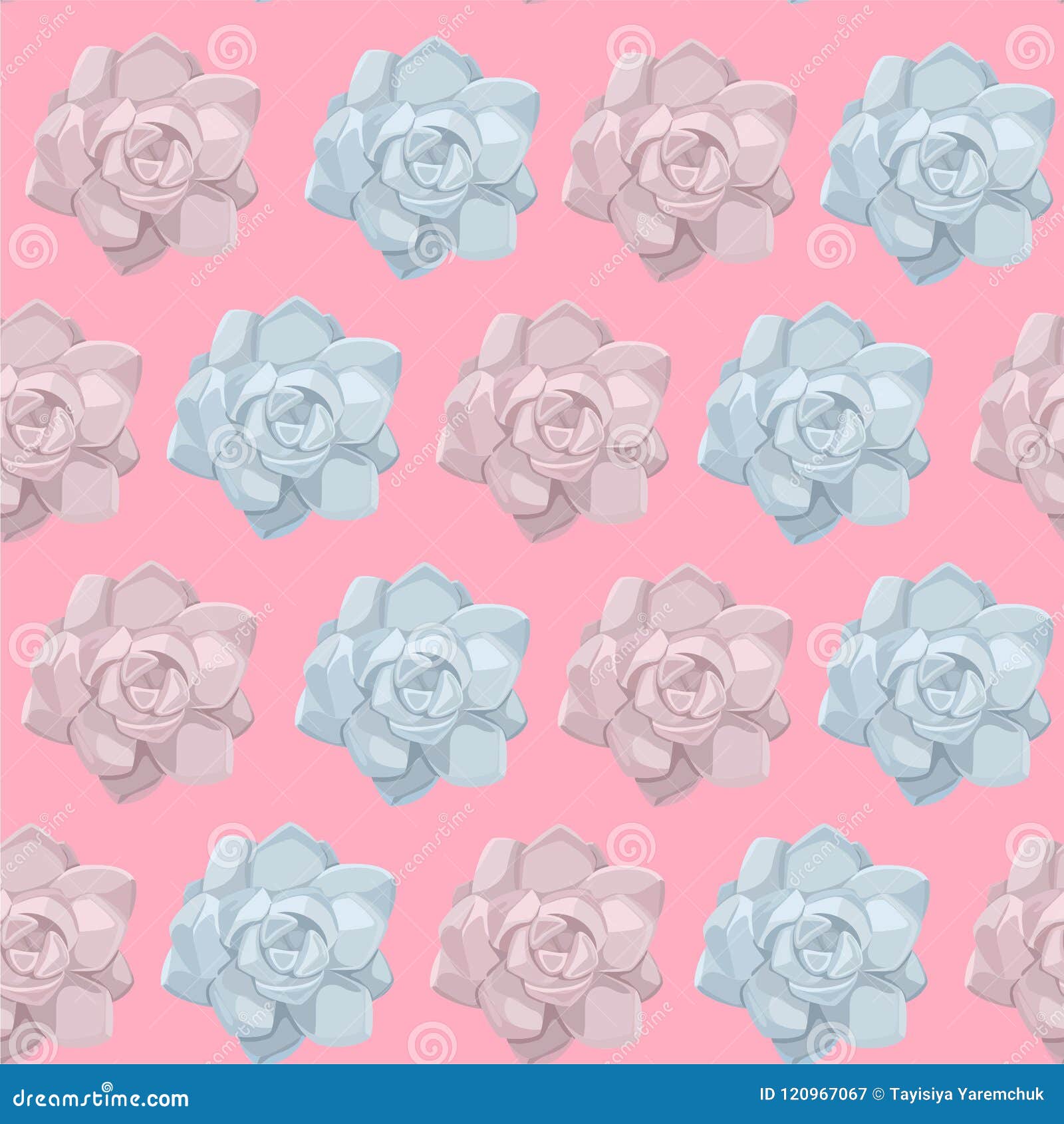 Succulents Pattern. Vector Seamless Texture. Stock Vector ...