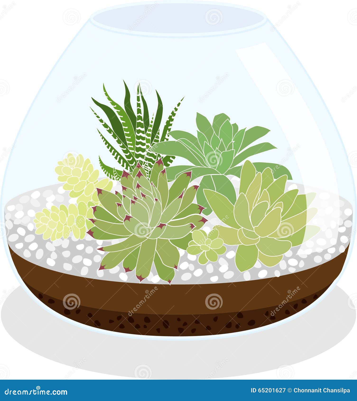 Terrarium Cartoons, Illustrations & Vector Stock Images - 3579 Pictures ...