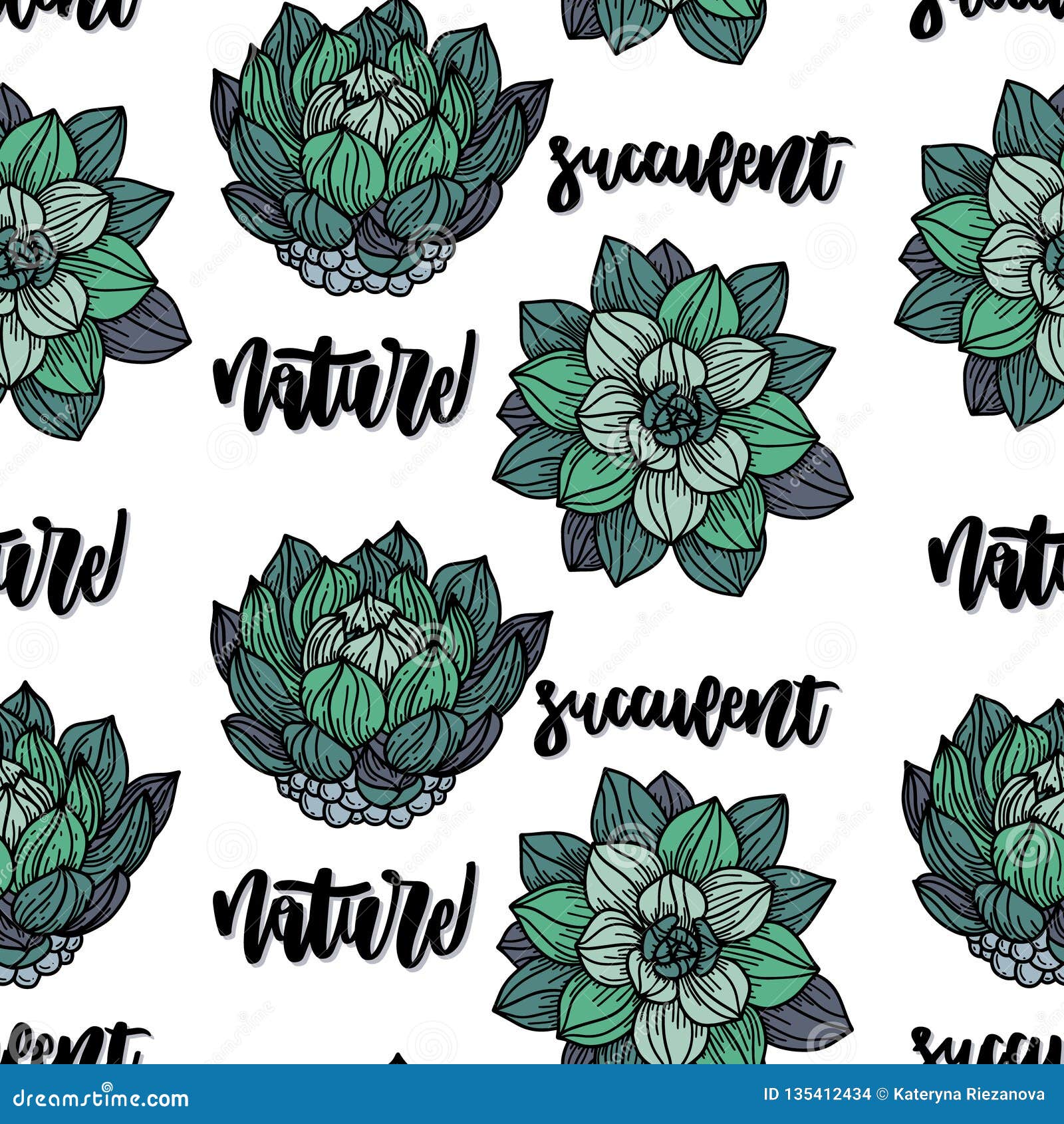 Succulents Vector Seamless Pattern. Stock Vector - Illustration of ...