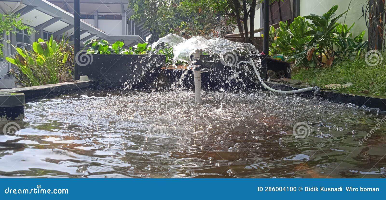 Such a Beautiful Creation of God. Chilling Water Stock Photo - Image of ...