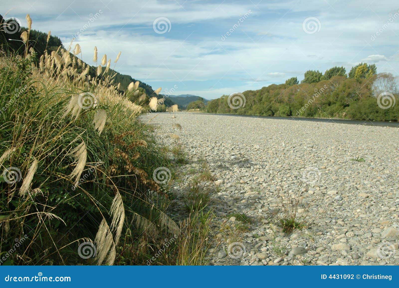 Suche koryto rzeki widok zdjęcie stock. Obraz złożonej z kamienie - 4431092