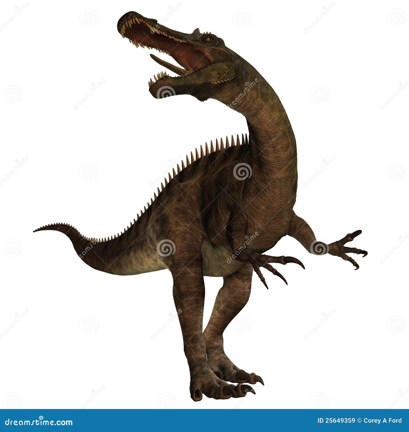 Suchomimus 01 stock illustration. Illustration of teeth - 25649359