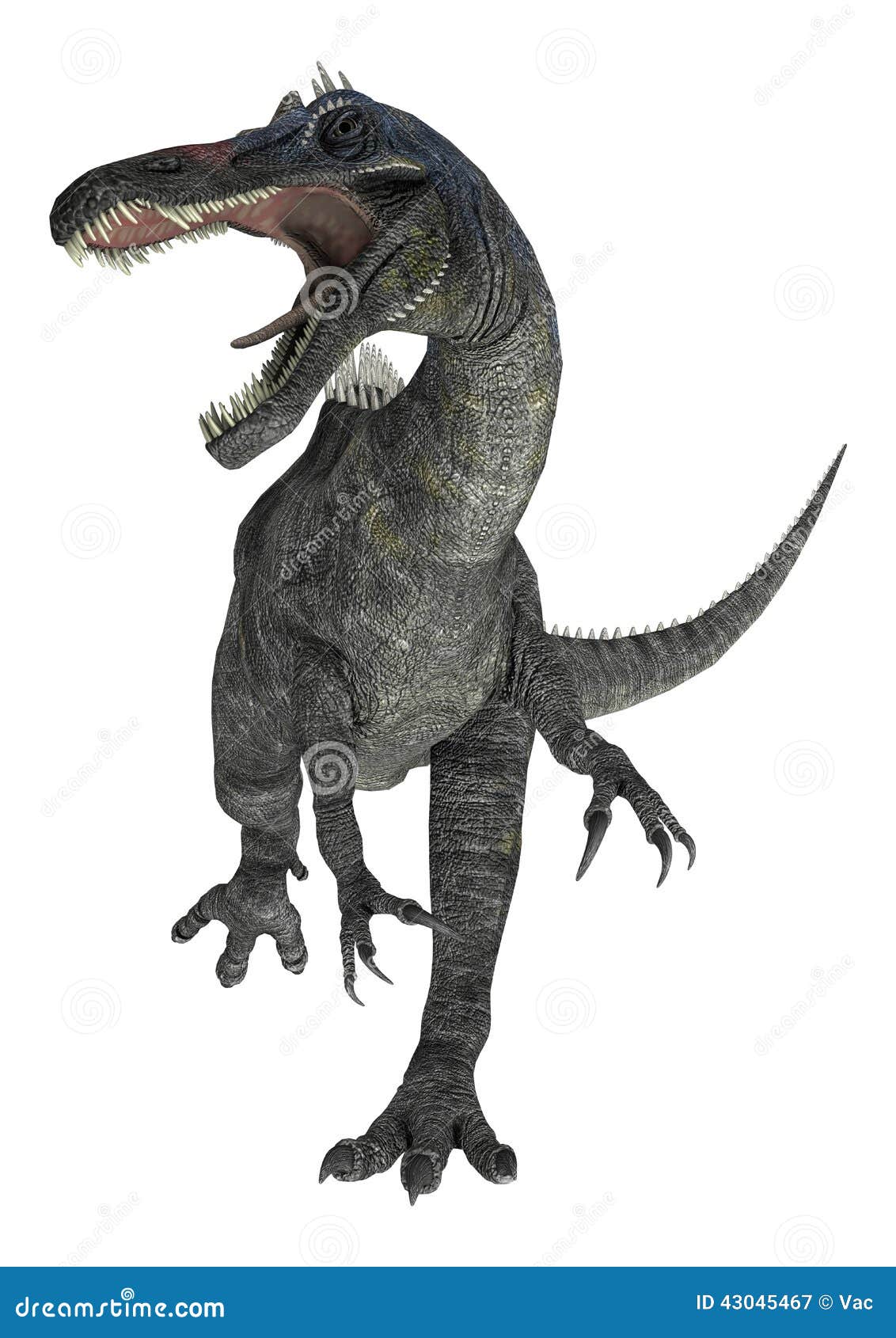 Suchomimus Tenerensis Royalty-Free Stock Photo | CartoonDealer.com ...