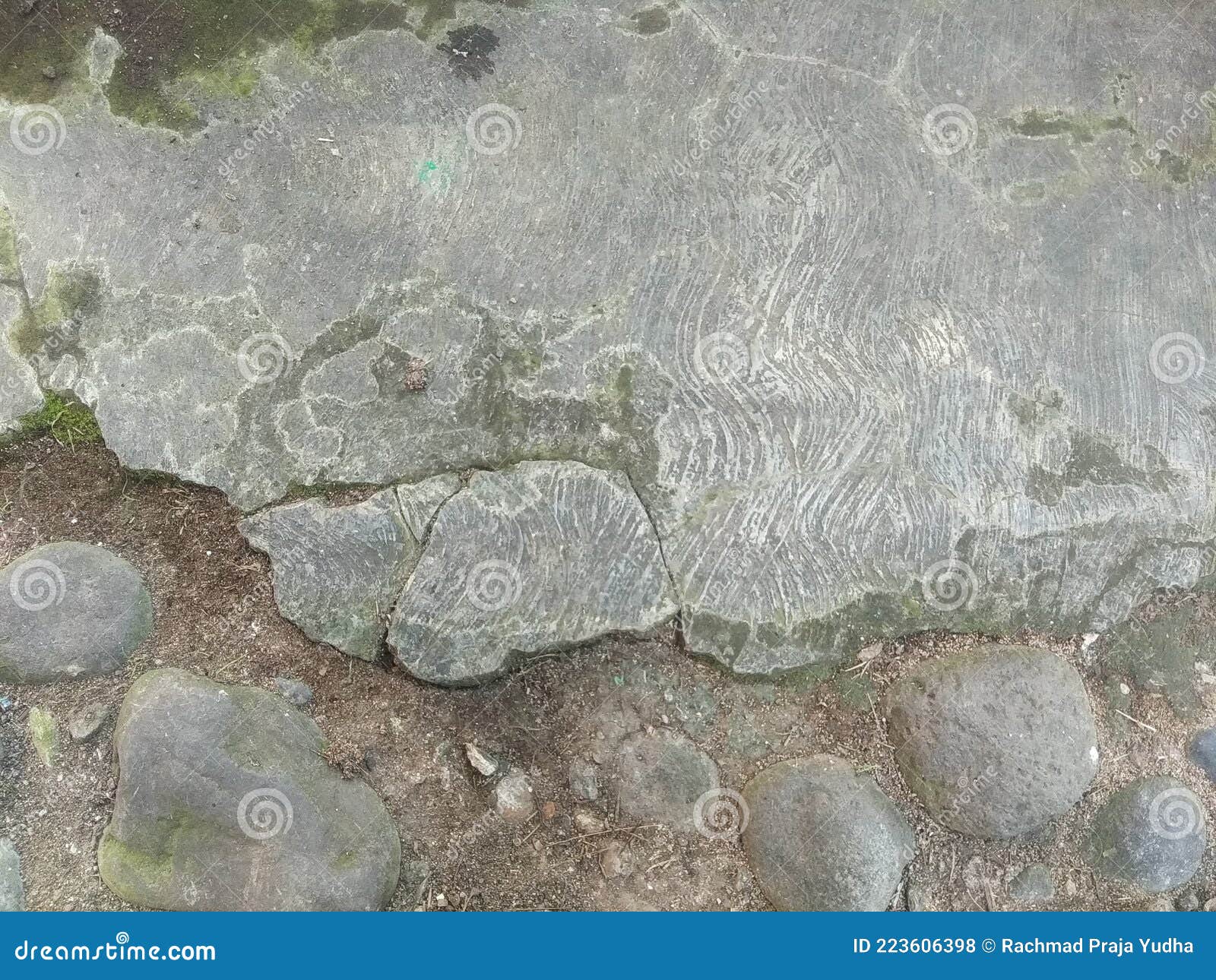 Sucio Suelo De Cemento Roto Foto de archivo - Imagen de mordedura ...