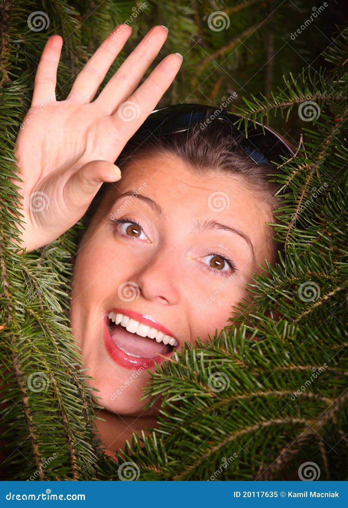 Sucked in by pine! stock image. Image of female, pine - 20117635