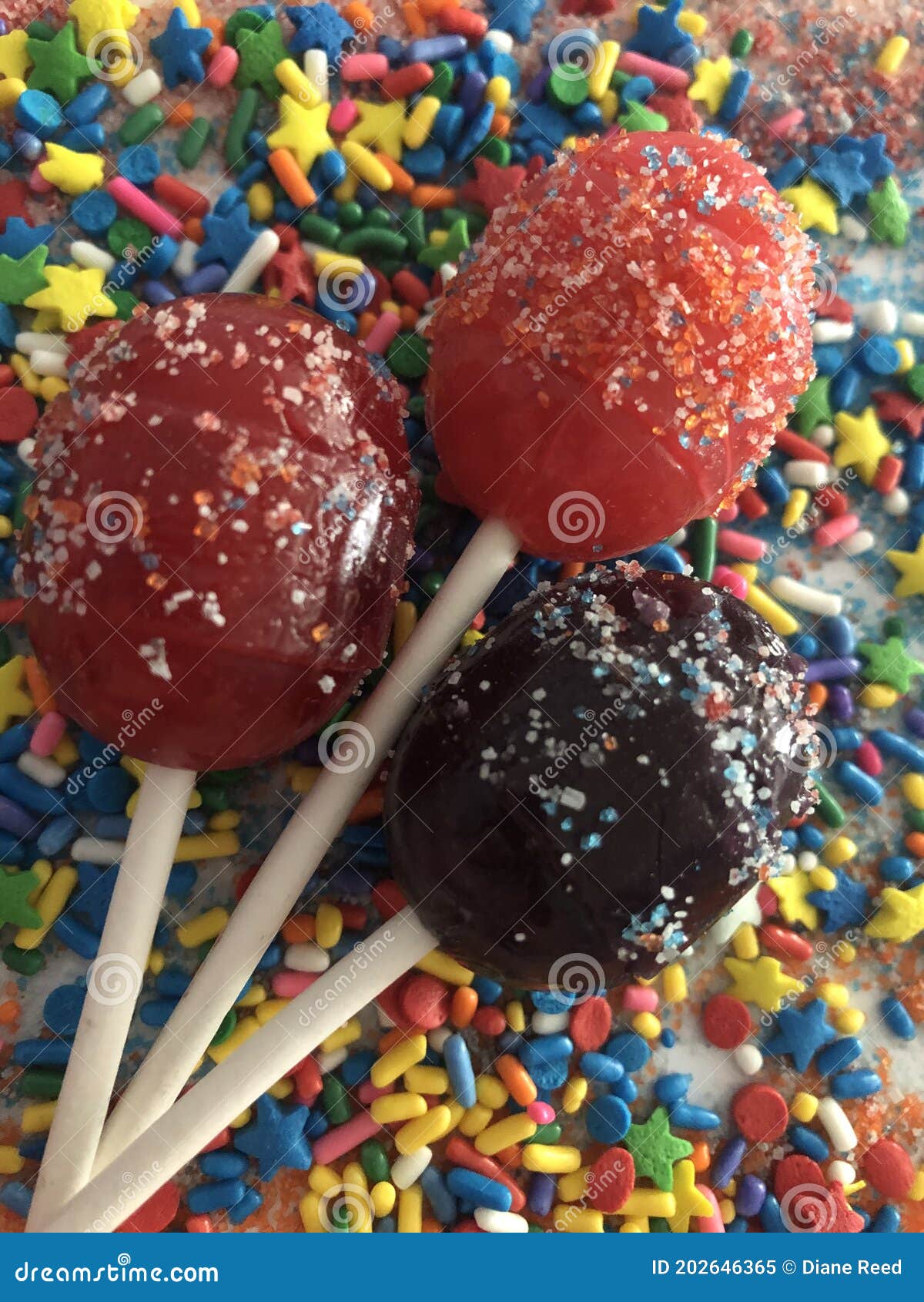 Suckers stock image. Image of sweet, suckers, sprinkles - 202646365