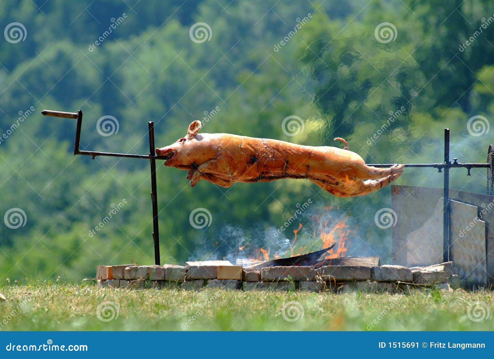Suckling pig stock image. Image of civilisation, fresh - 1515691