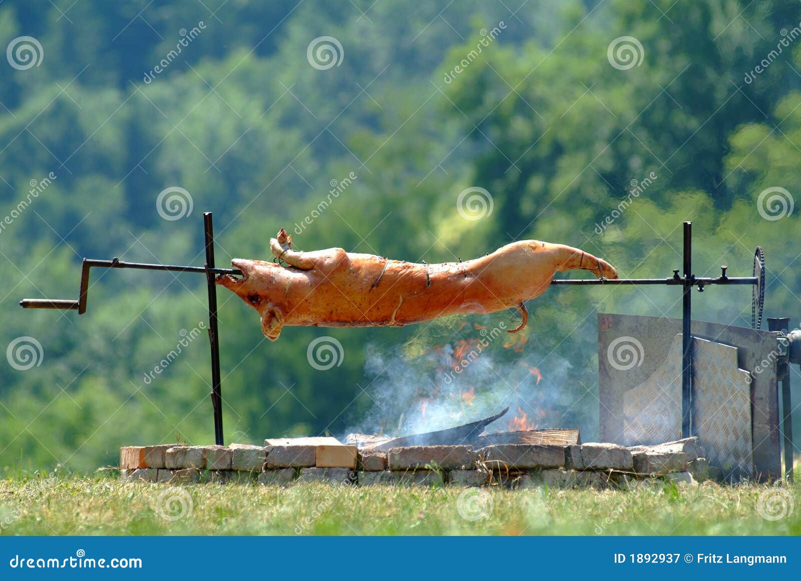 Suckling pig stock image. Image of feeding, grill, enjoy - 1892937