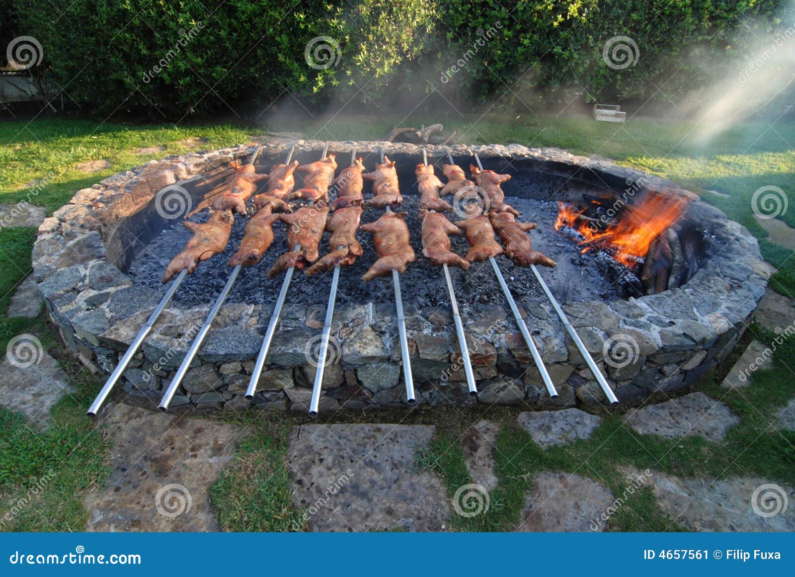 Suckling pig on a grill stock image. Image of dinner, broil - 4657561