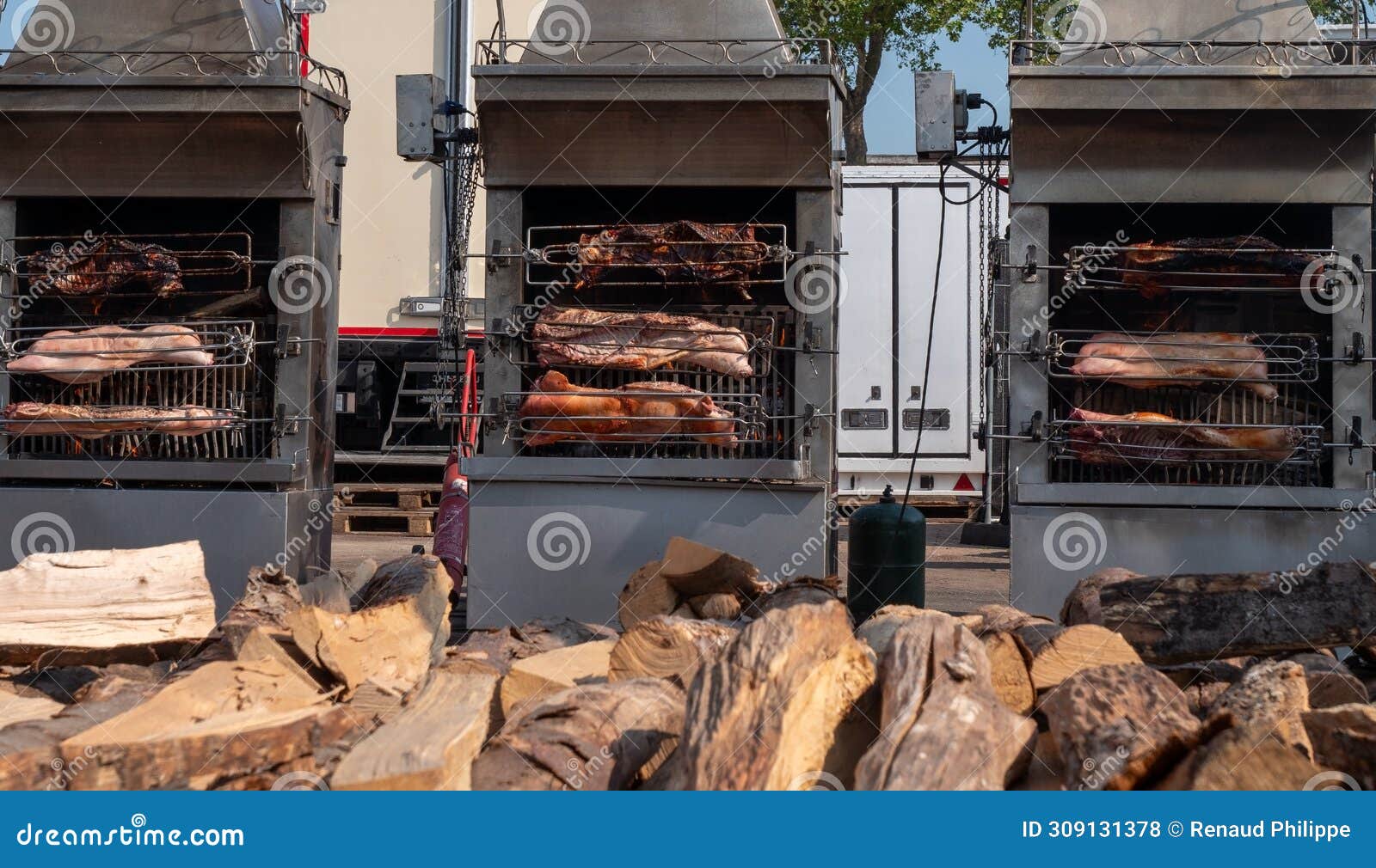 Suckling Pig on the Rotisserie on the Open Fire Stock Photo - Image of ...