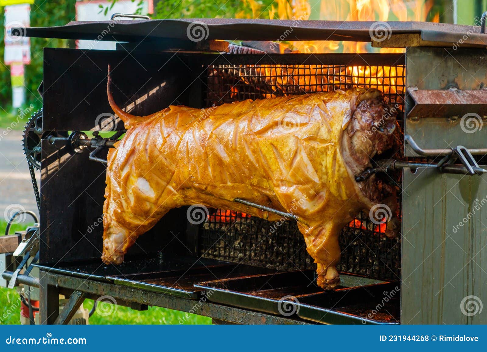 Suckling or Roasted Pig on the Grill Stock Photo - Image of fire ...