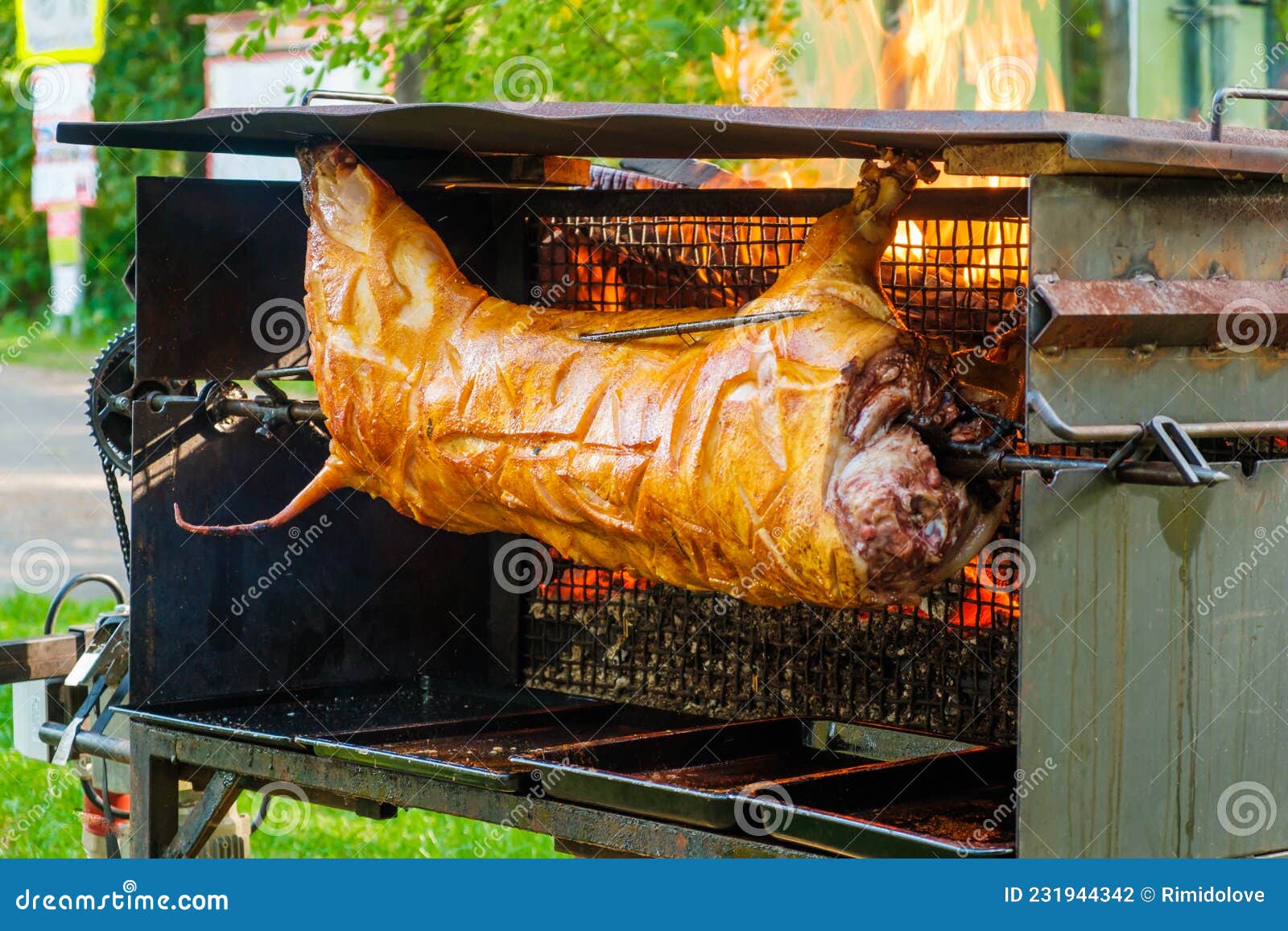 Suckling or Roasted Pig on the Grill Stock Photo - Image of barbecue ...