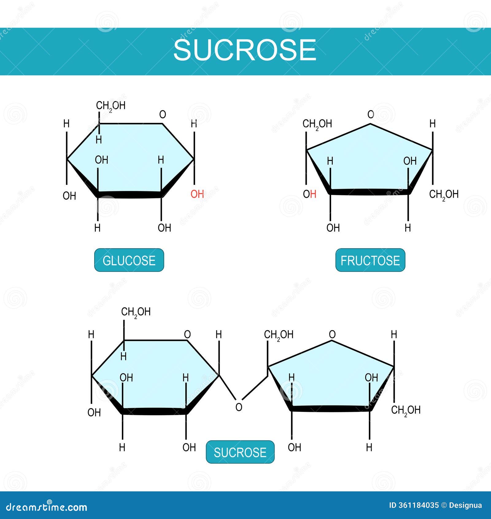 Sucrose, Fructose and Glucose Molecular Chemical Structural Formula ...