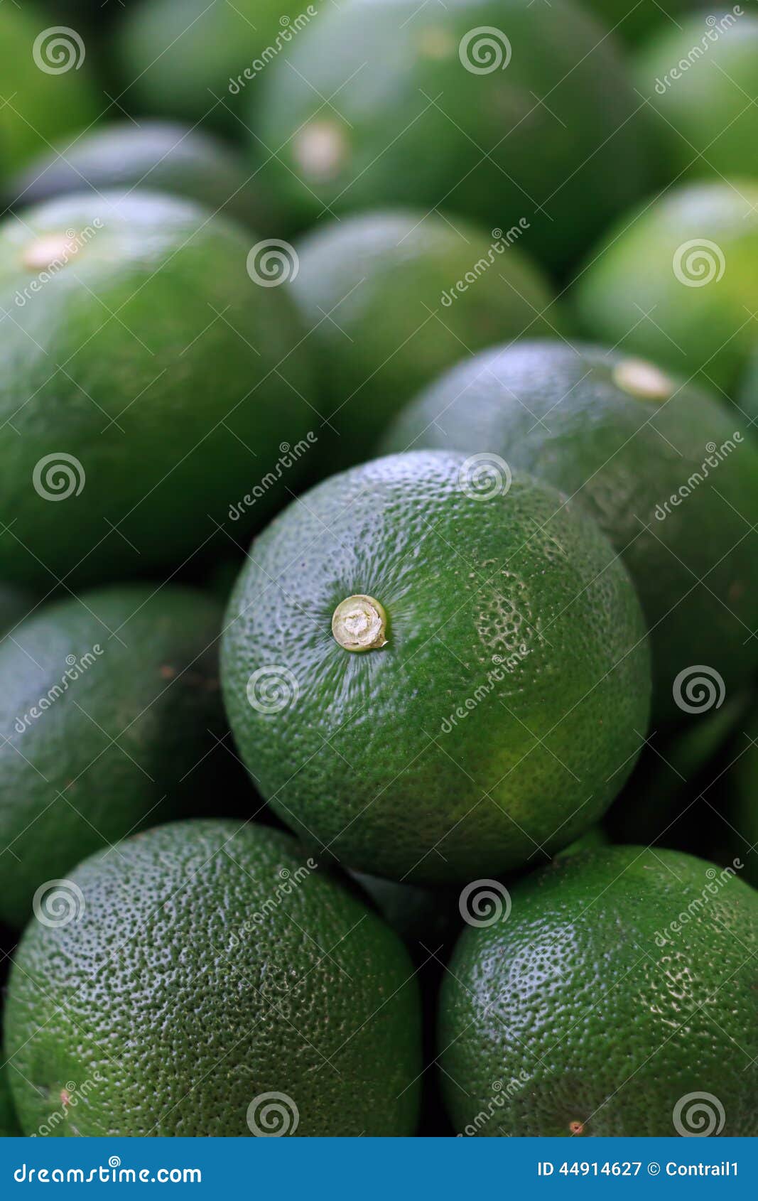 Sudachi imagen de archivo. Imagen de cidra, gusto, especia - 44914627