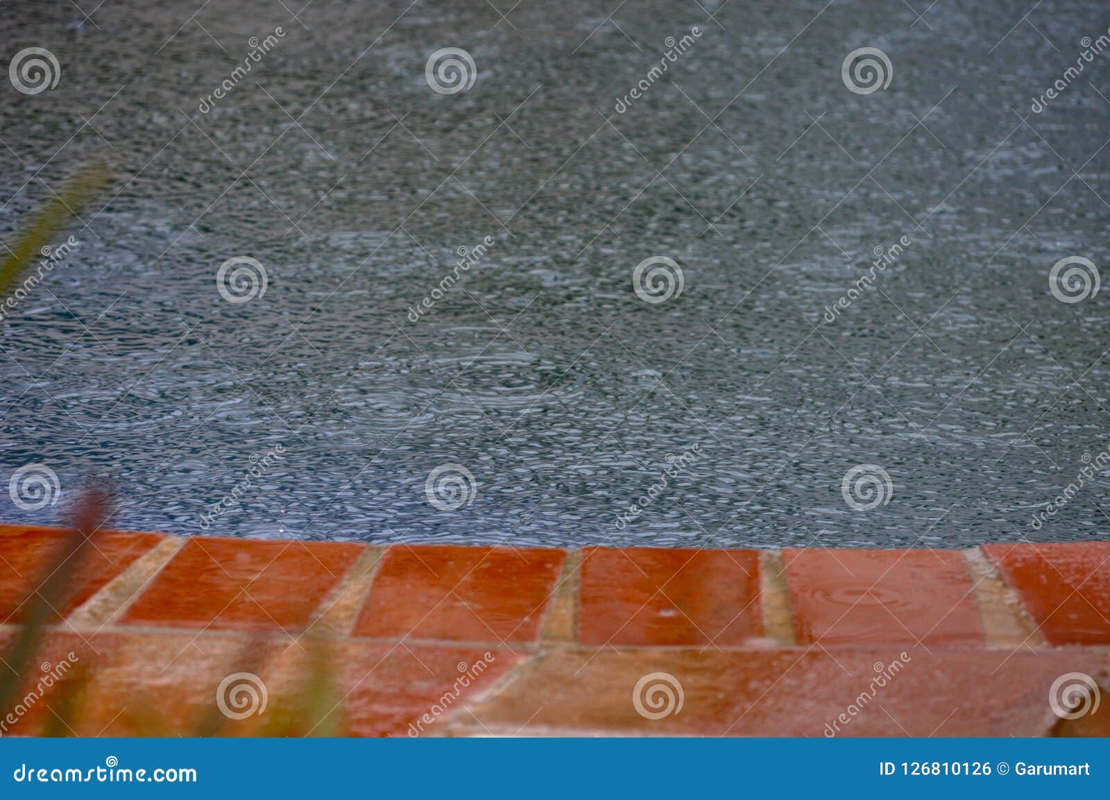 Sudden Rain in the Pool with Movement Stock Photo - Image of movement ...