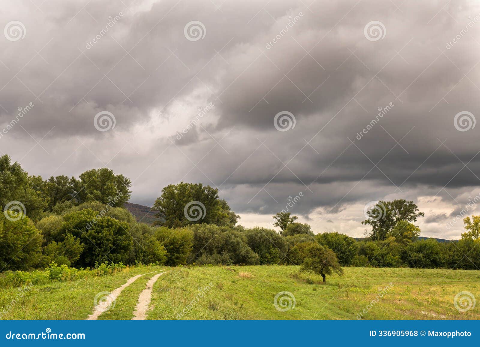Sudden Storm in the Summer. Dark Clouds Stock Photo - Image of thunder ...