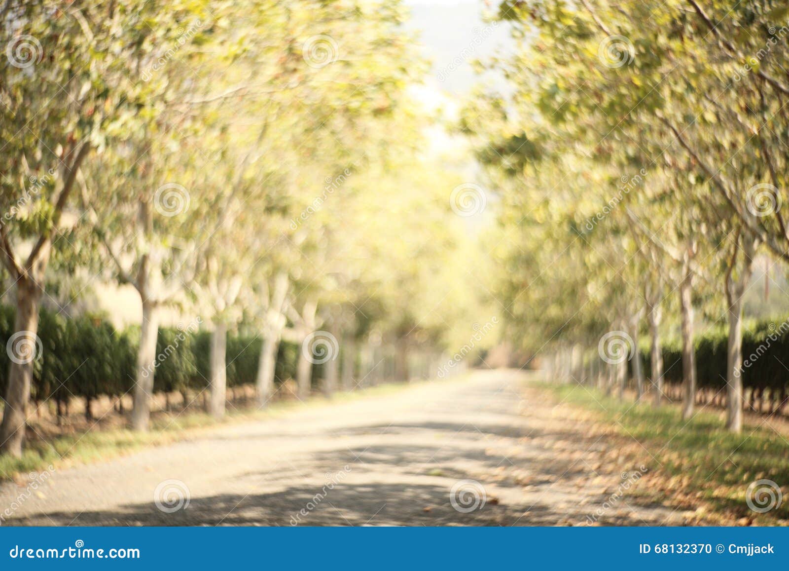 Suddig Bana Med Underbar Swirly Bokeh Arkivfoto - Bild av briljans ...