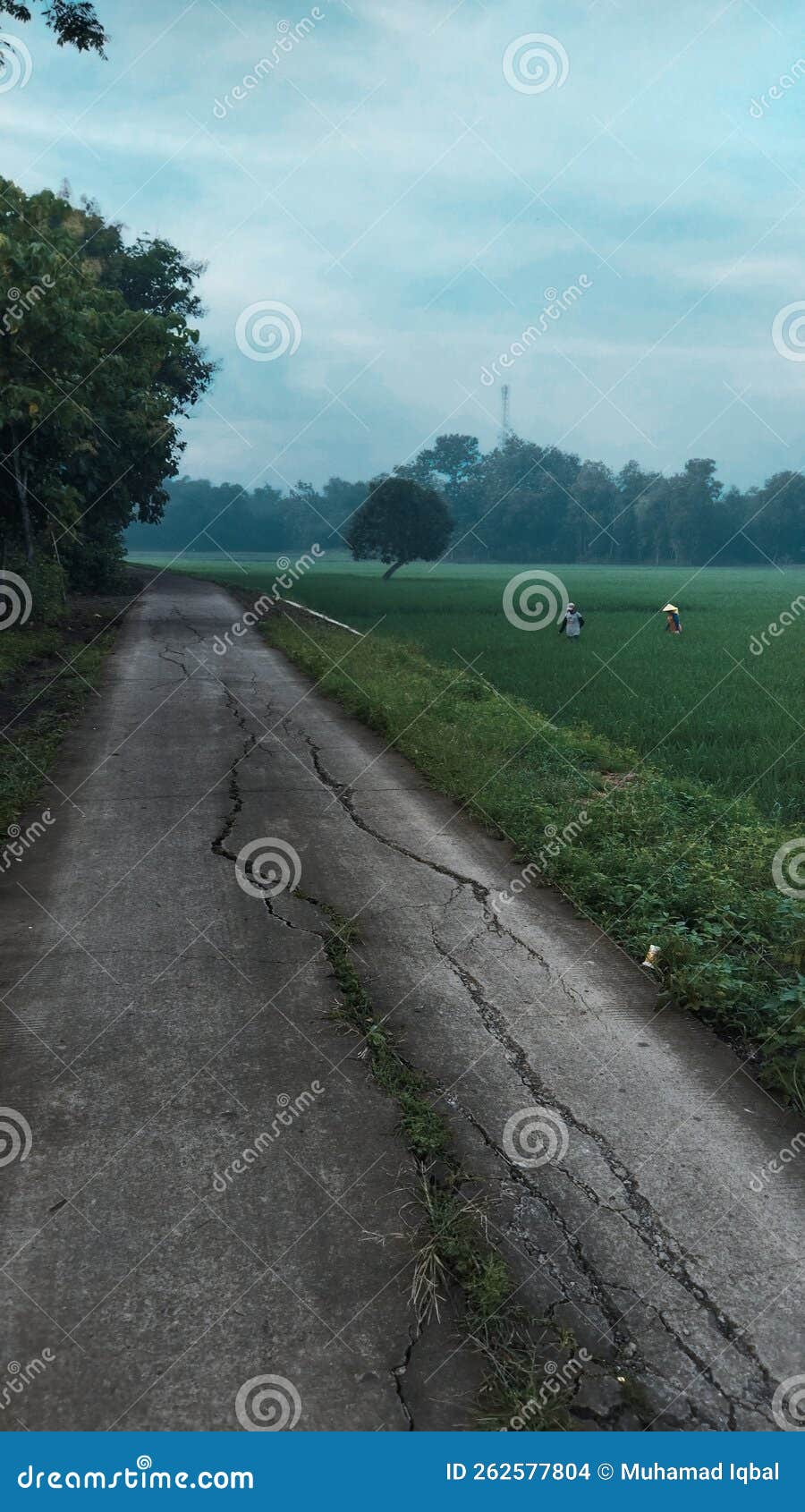 Nature of Subang, Indonesia Stock Photo - Image of icon, game: 262577804