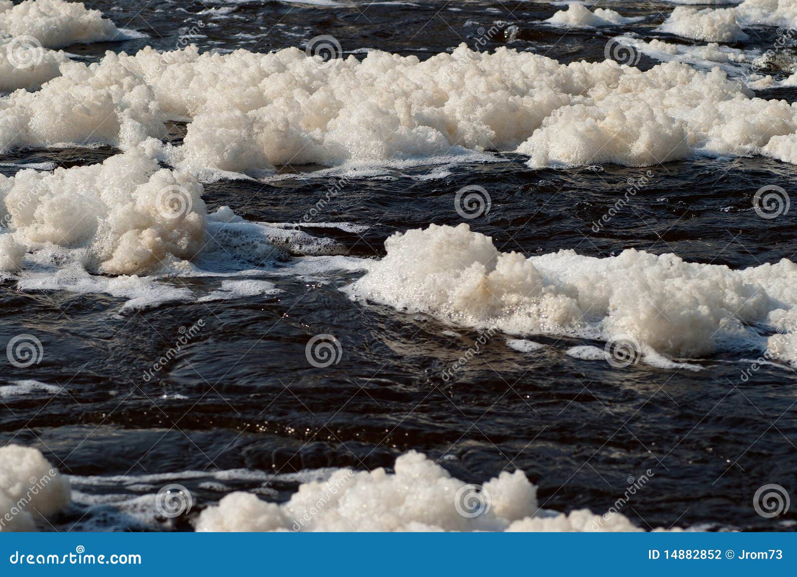 Suds stock photo. Image of slimy, soap, foam, green, pond - 14882852