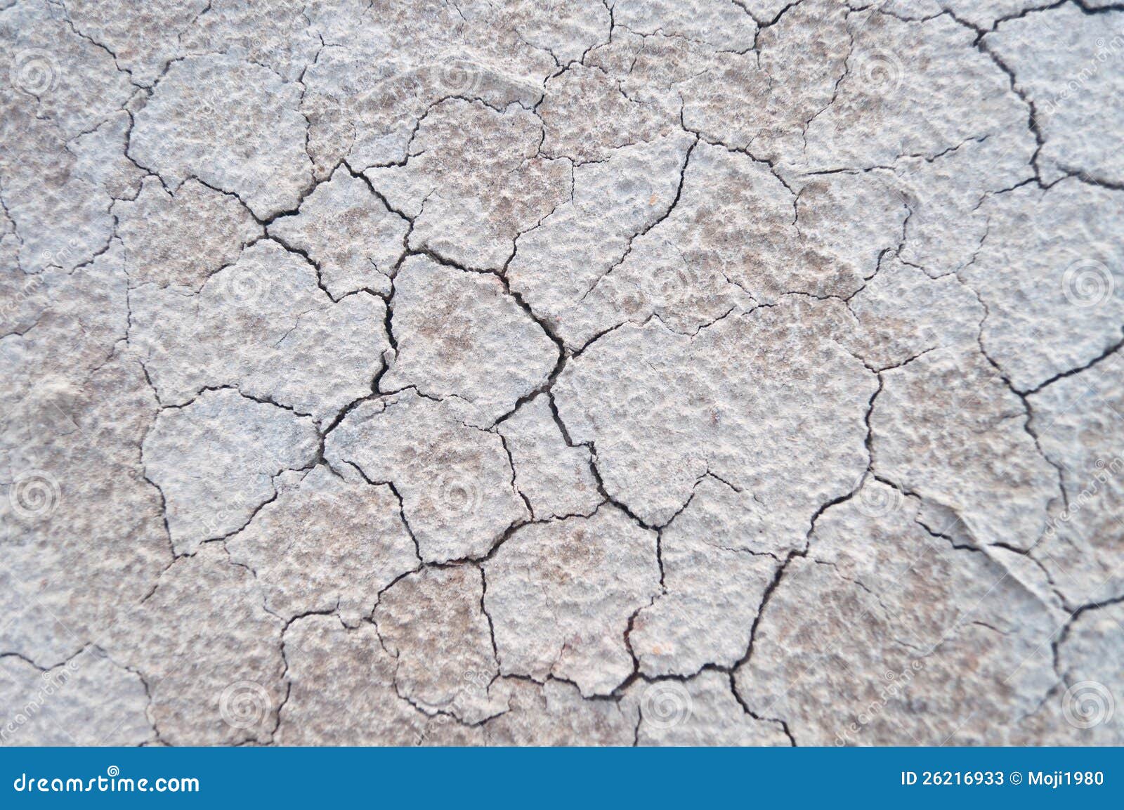 Suelo. imagen de archivo. Imagen de pista, suciedad, planta - 26216933